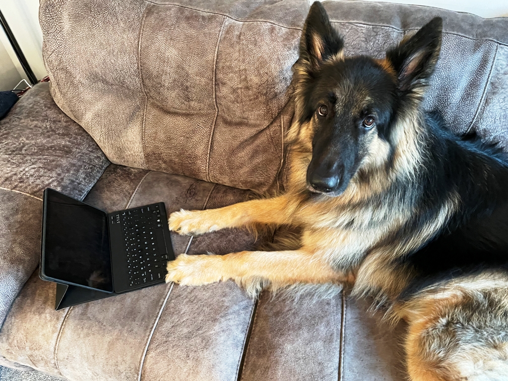 Book Online - CF Foot Clinic Basingstoke